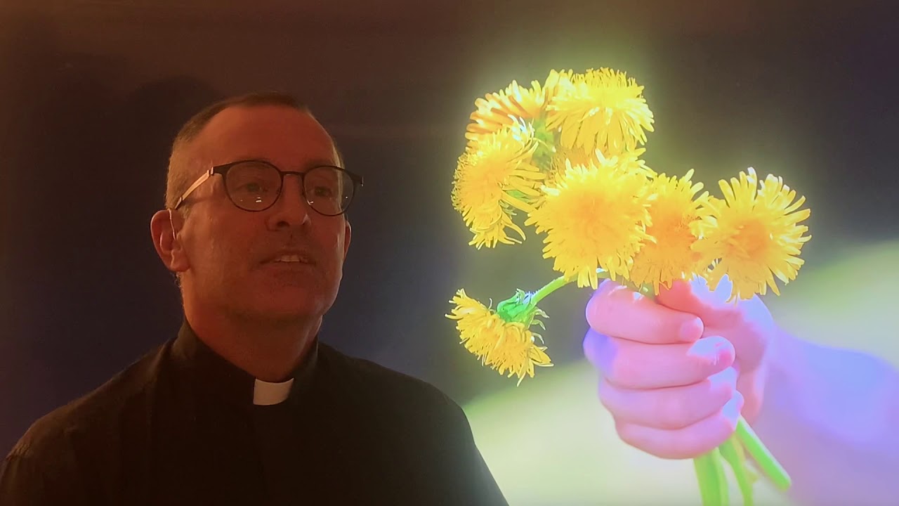 Analogies for the Spiritual life - Unitive #3 Bouquet of Dandelions ...