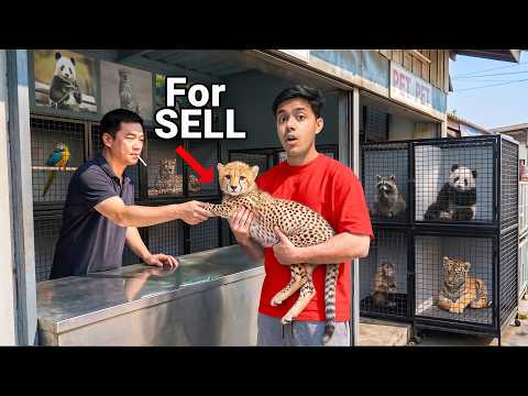 Going to illegal Markets Around the World