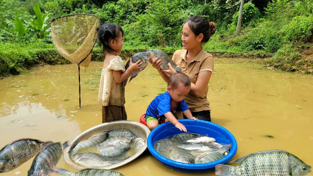 Harvest fish ponds and bring them to the market to sell - cook | happy ...