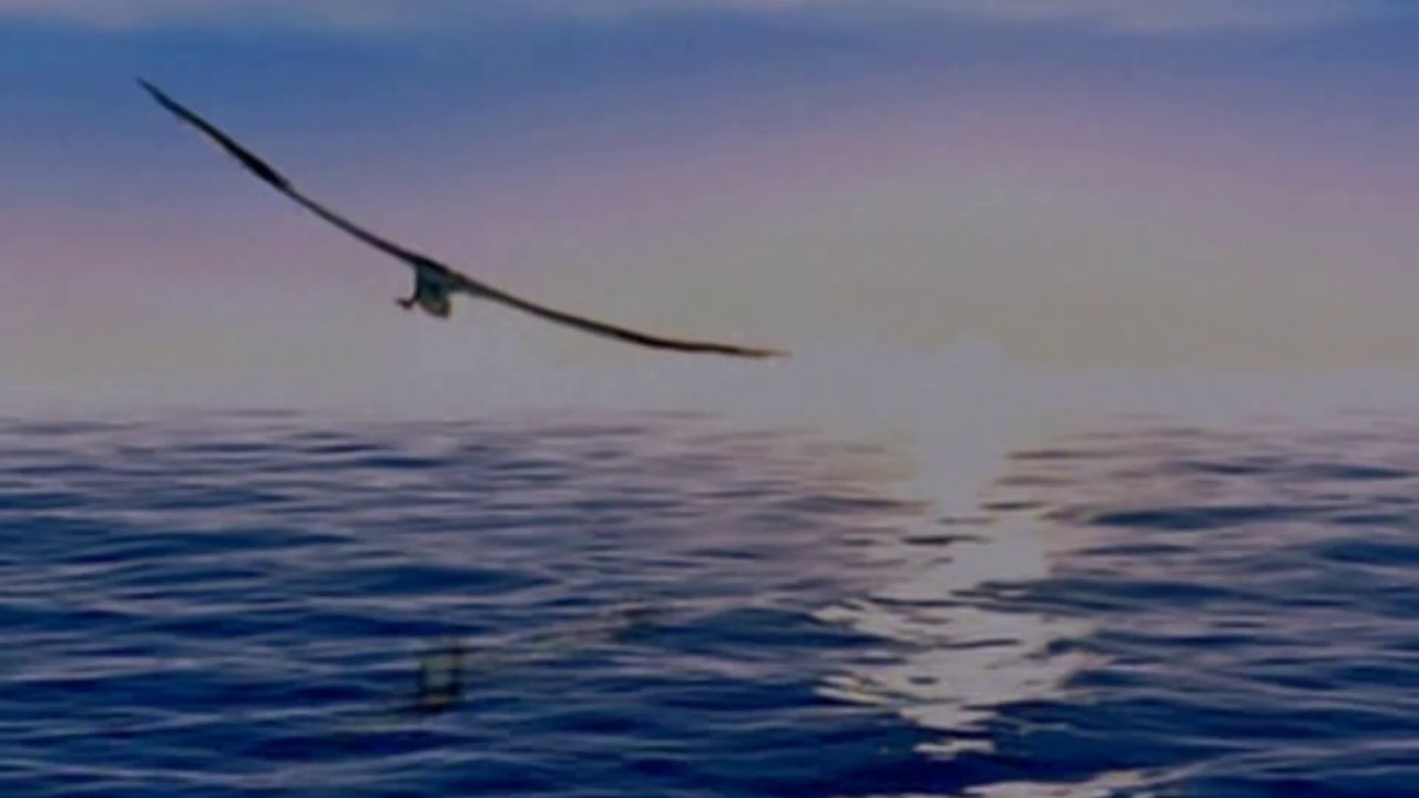 Gullane Pictures (2000) - YouTube