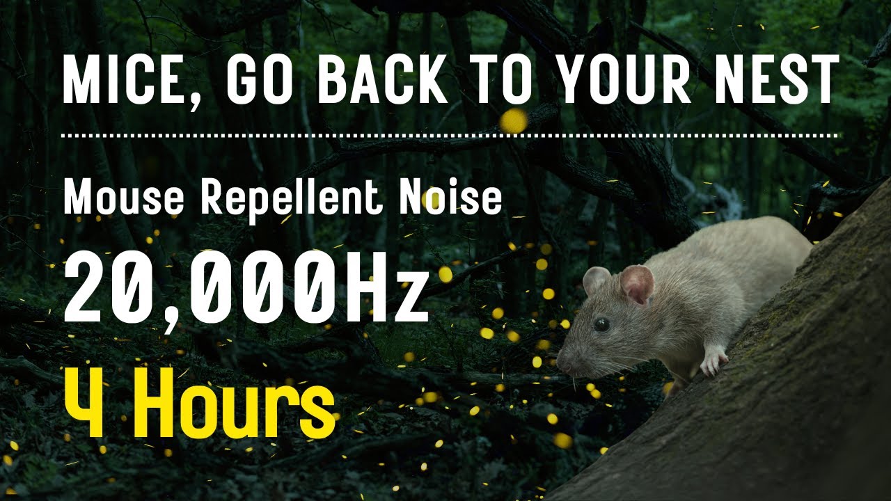 Mouse Repellent Noise | Drive Mice Out with 20,000Hz Sound | 4 Hours ...