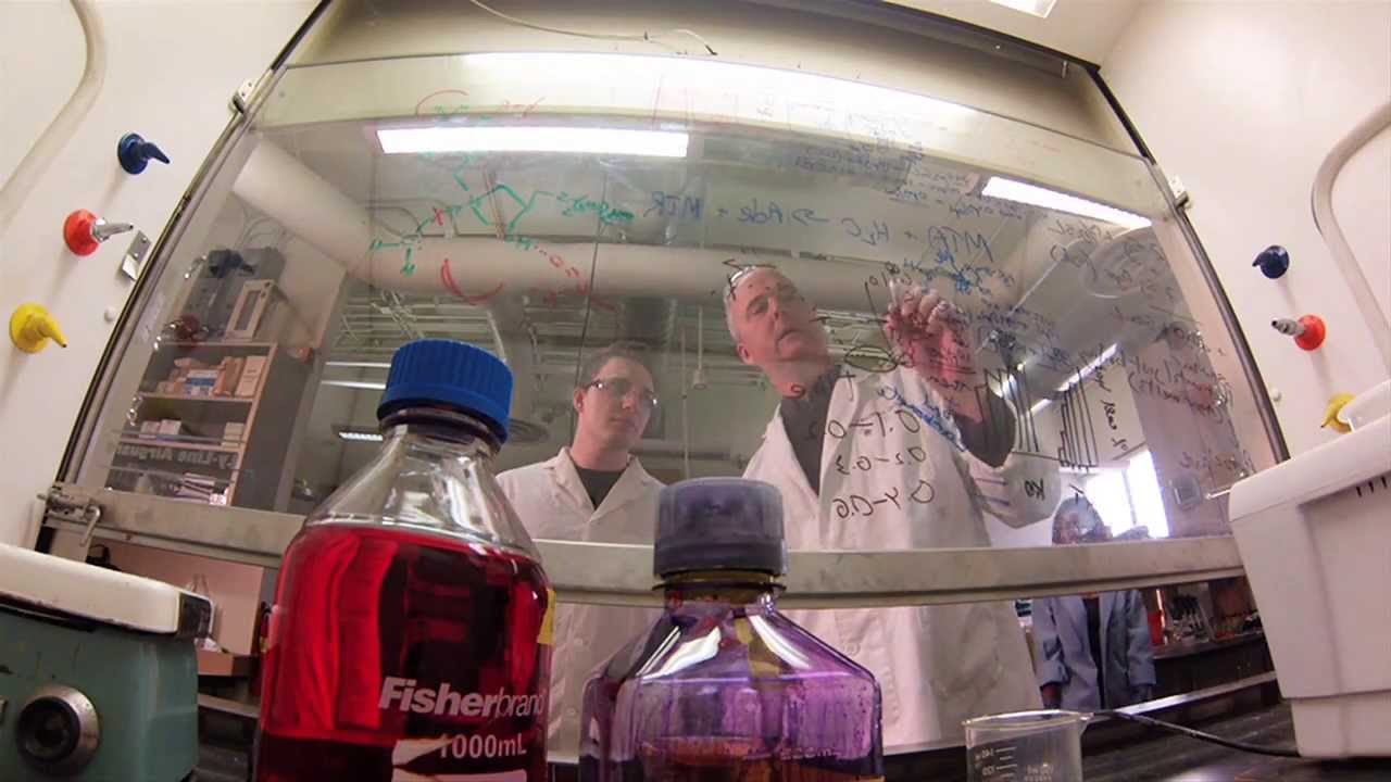 Biomolecular Sciences Ph.D. at Boise State University - YouTube