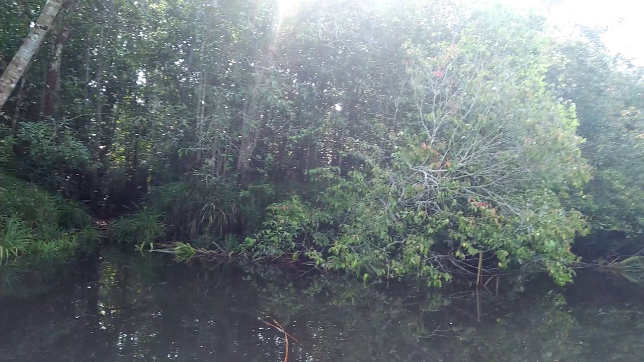 Perjalanan lewat Air, Menuju Kampung Air Hitam besar - YouTube