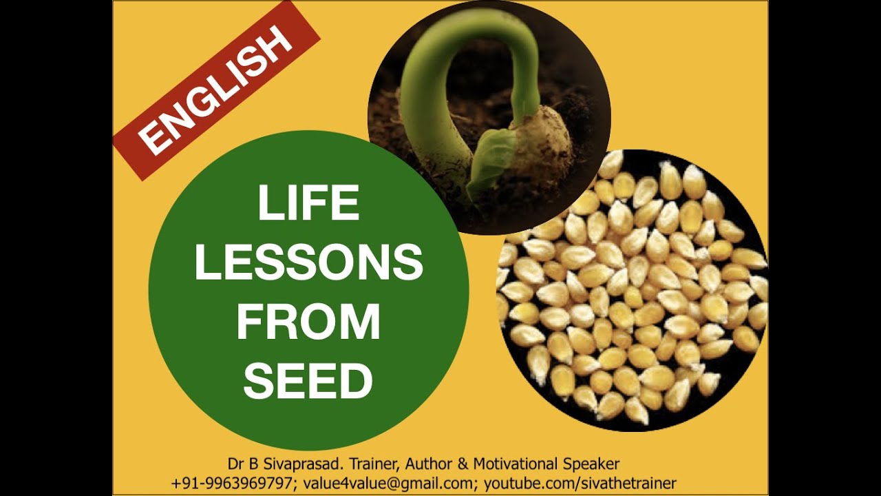 5 Life Lessons From Seed For Survival & Success! (English Version ...