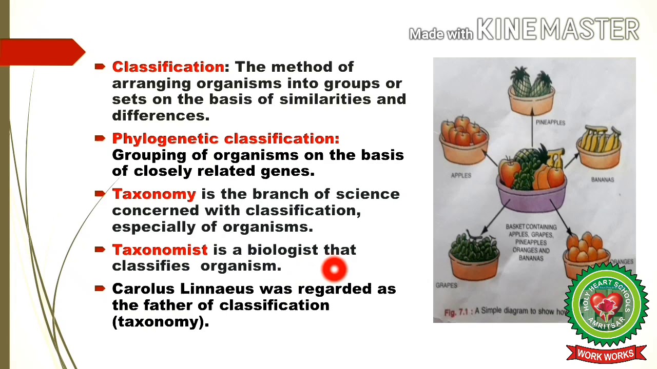 Introduction and five kingdom system of classification| Class 8 ...