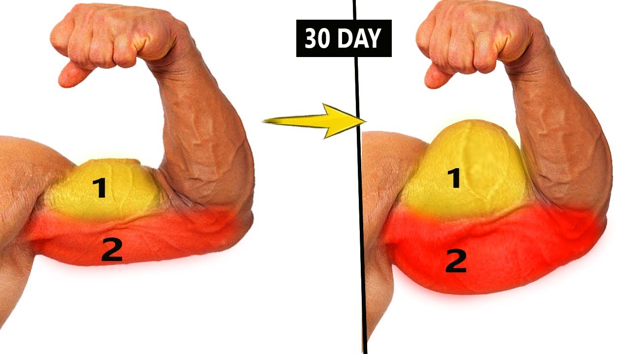 Arm Transformation : A Workout to Shape Your Arms in 30 day - YouTube