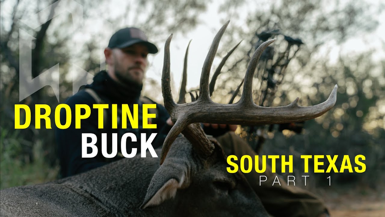 I shot a DROPTINE buck with my BOW! - YouTube