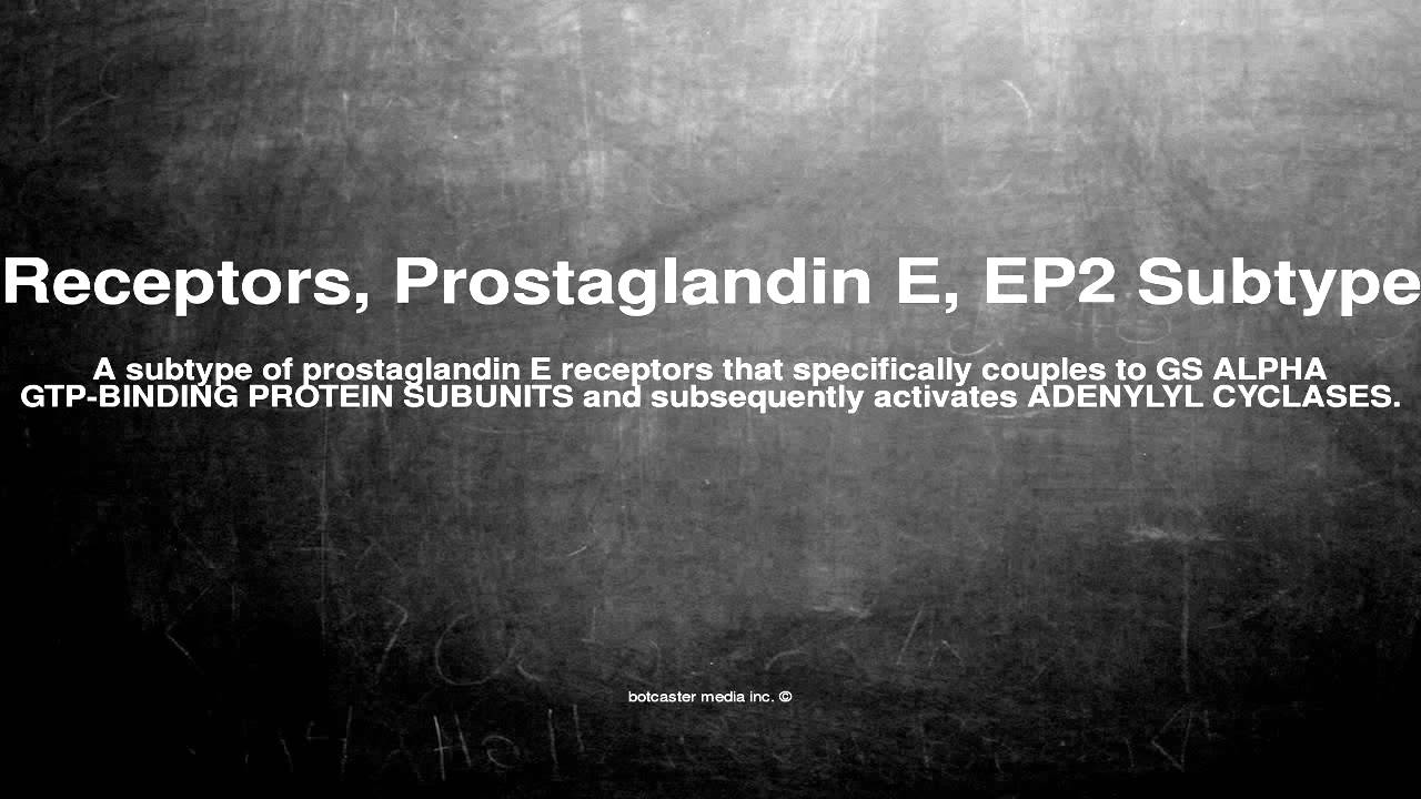 Medical vocabulary: What does Receptors, Prostaglandin E, EP2 Subtype ...