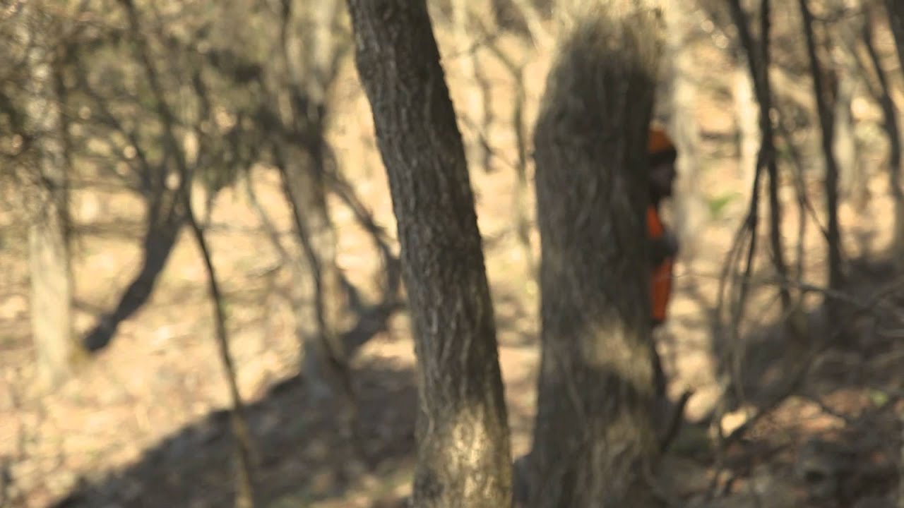 Tag Em and Bag Em! - YouTube