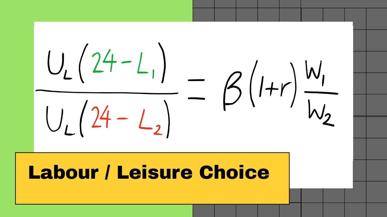 Intertemporal Labour and Leisure Choice - YouTube