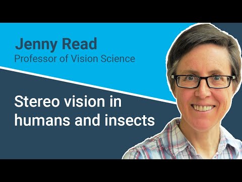 Jenny Read - Stereo Vision in Humans and Insects - Institute of ...