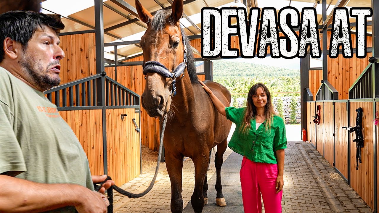 Tüküren Devasa Atlarla Bir Gün ! - YouTube