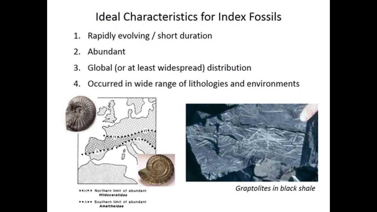 Biostratigraphy - YouTube