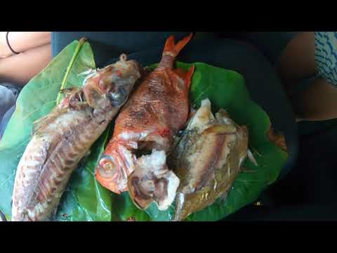 Spearfishing in Hawaii, Oahu, big island, Ulua, Uhu, Weke, Fish you can ...