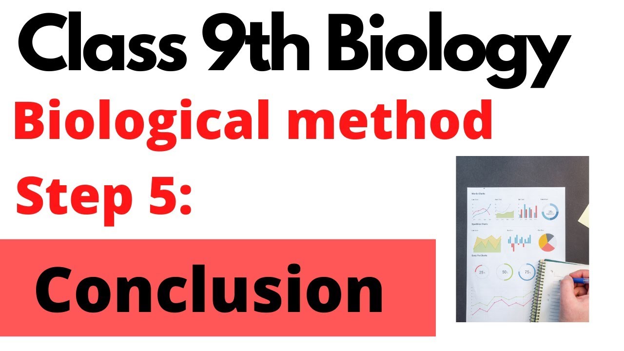 Conclusion Steps Of Biological Method In Pashto Home Of Biology YouTube conclusion-steps-of-biological-method-in-pashto-home-of-biology-youtube