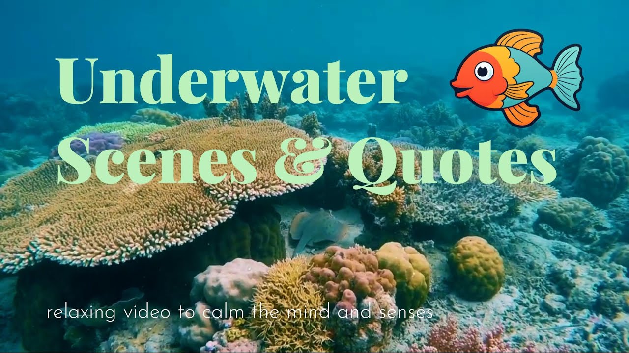 Underwater Scenes & Quotes ~ - YouTube