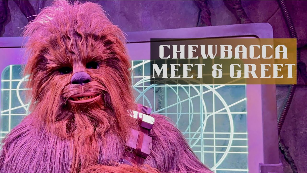 Chewbacca Meet and Greet, Hollywood Studios. - YouTube