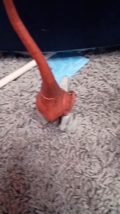 Heads or tail - YouTube