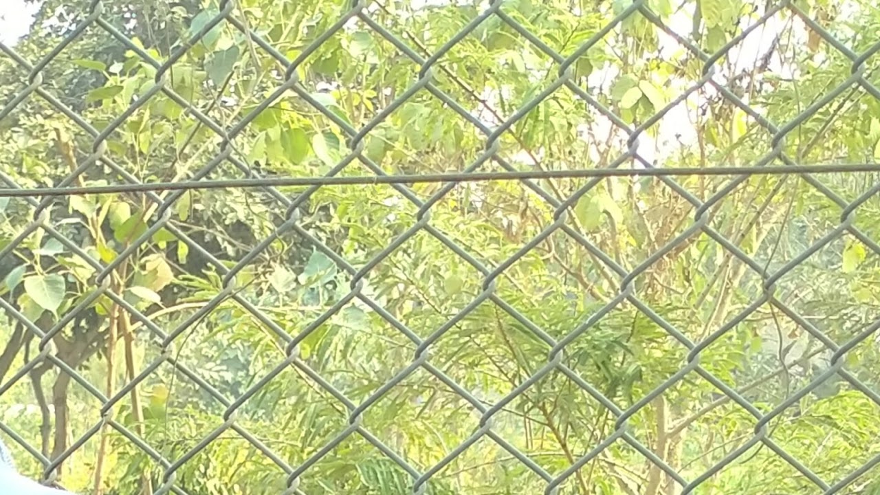 13013live | 13013 live - YouTube