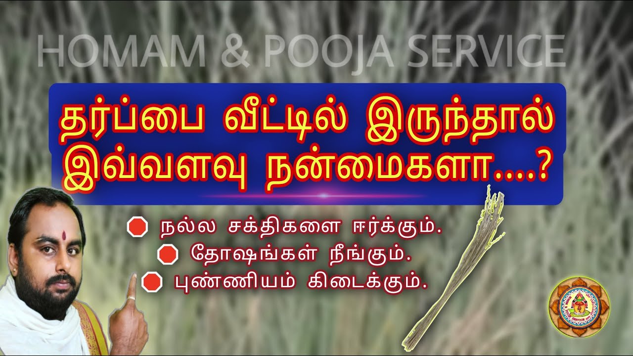 Tharbai pul benefits in Tamil | தர்ப்பை புல் பயன்கள் | Aanmeega ...