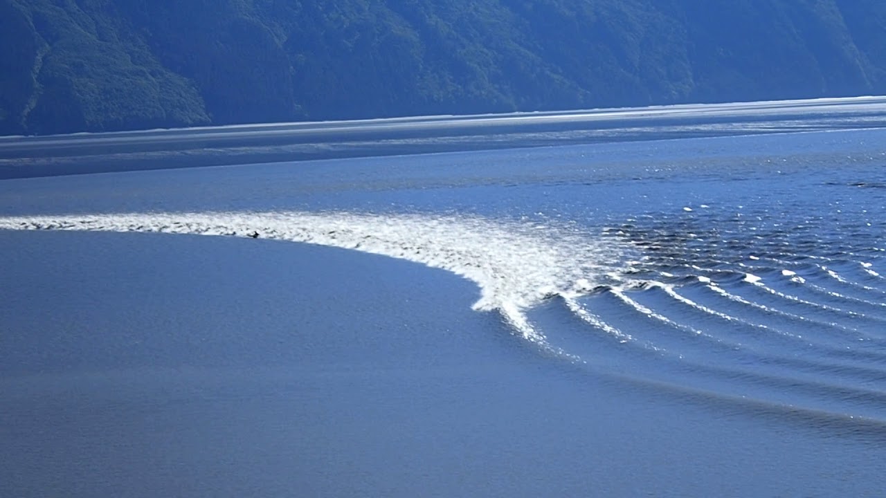 Turnagain arm - The Wave - YouTube
