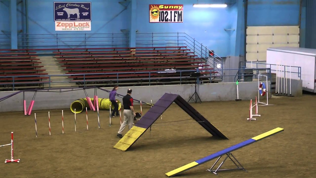 Hops's Agility, Starters Gamblers, Q & 1st place! - YouTube