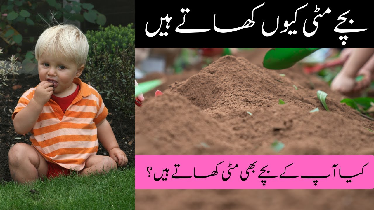 "Why Do Kids Eat Dirt? Causes and Solutions | Important Health Tips for ...