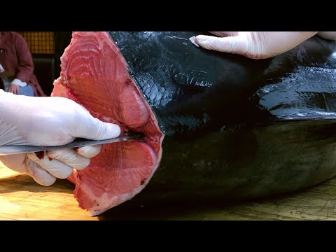 200kg Tuna Sashimi, Amazing cutting skills - Korean Sea Food