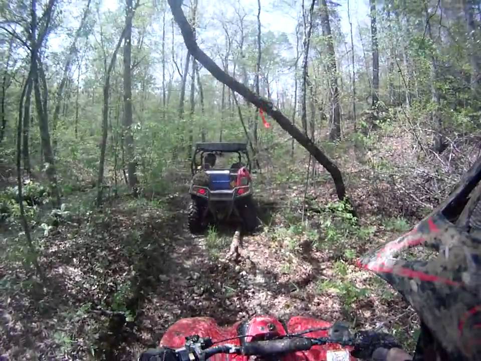 Sutton Bluff - YouTube