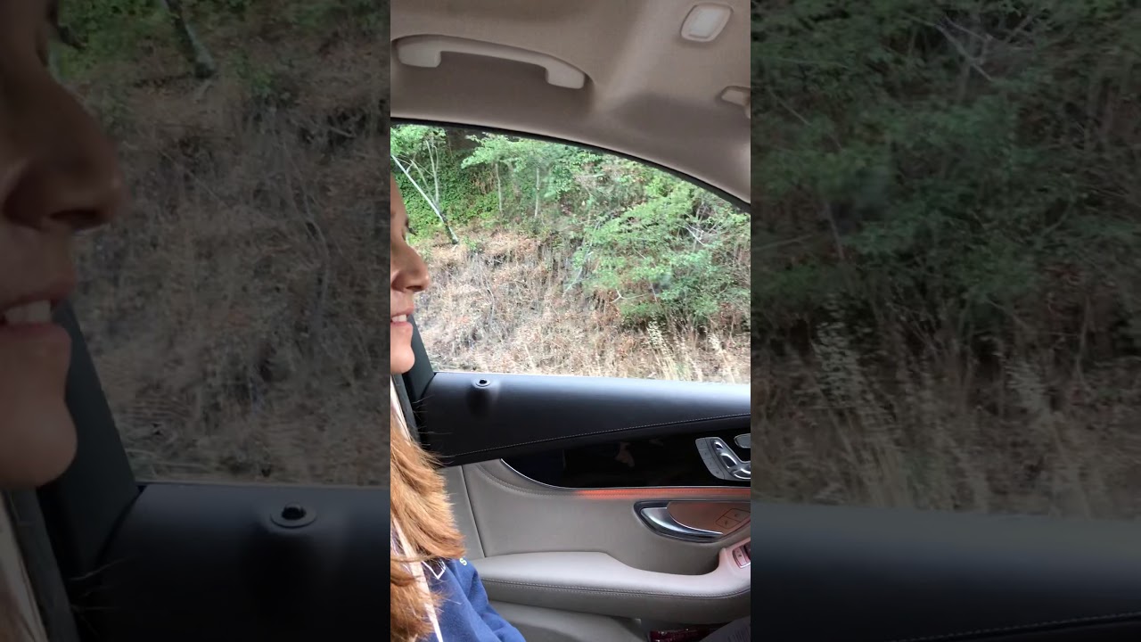 Getting Rear Ended Hard by a Stoner - YouTube