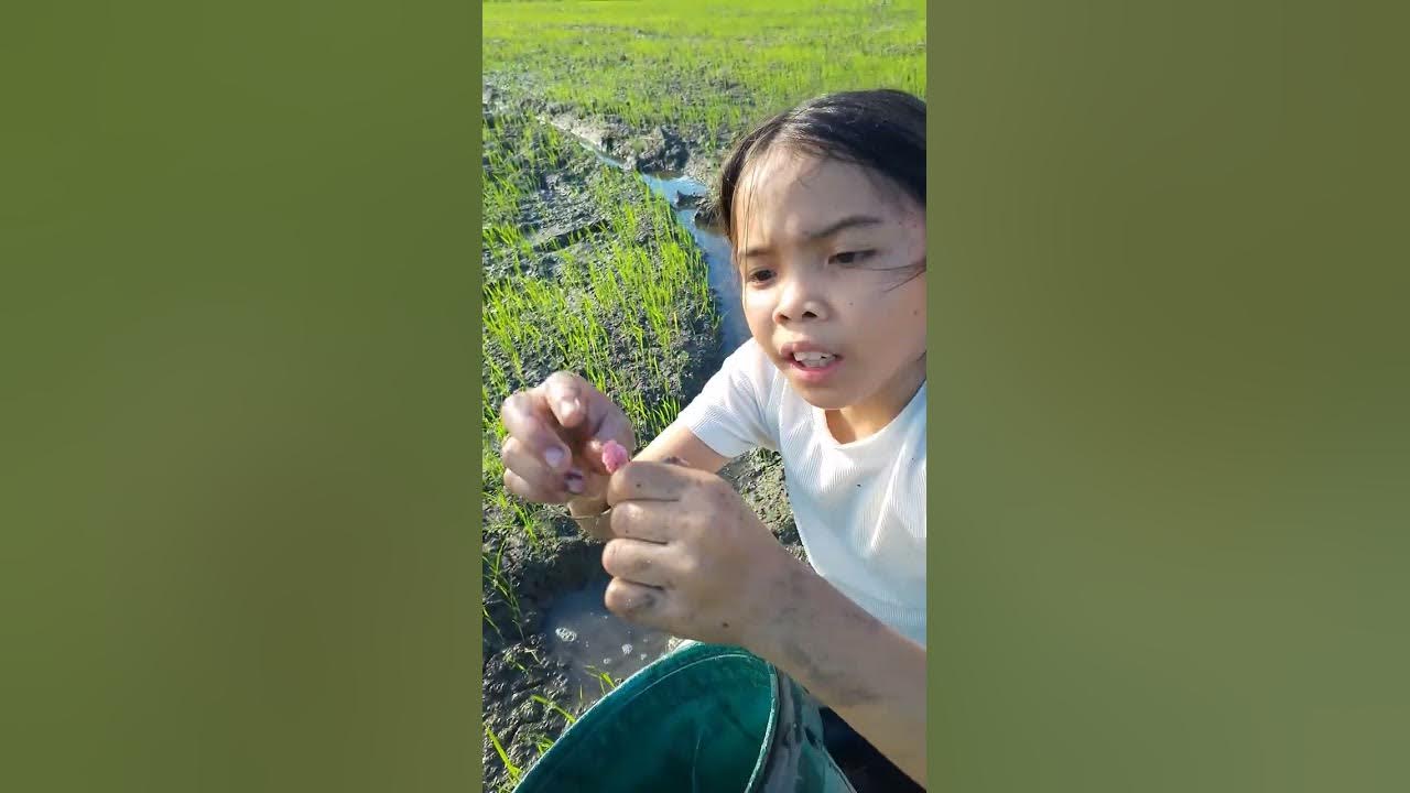 #Ka Bukid vlogs - YouTube