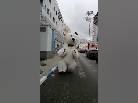 Поздравление от Мишки. Большой белый медведь. Ростовая кукла. # ...