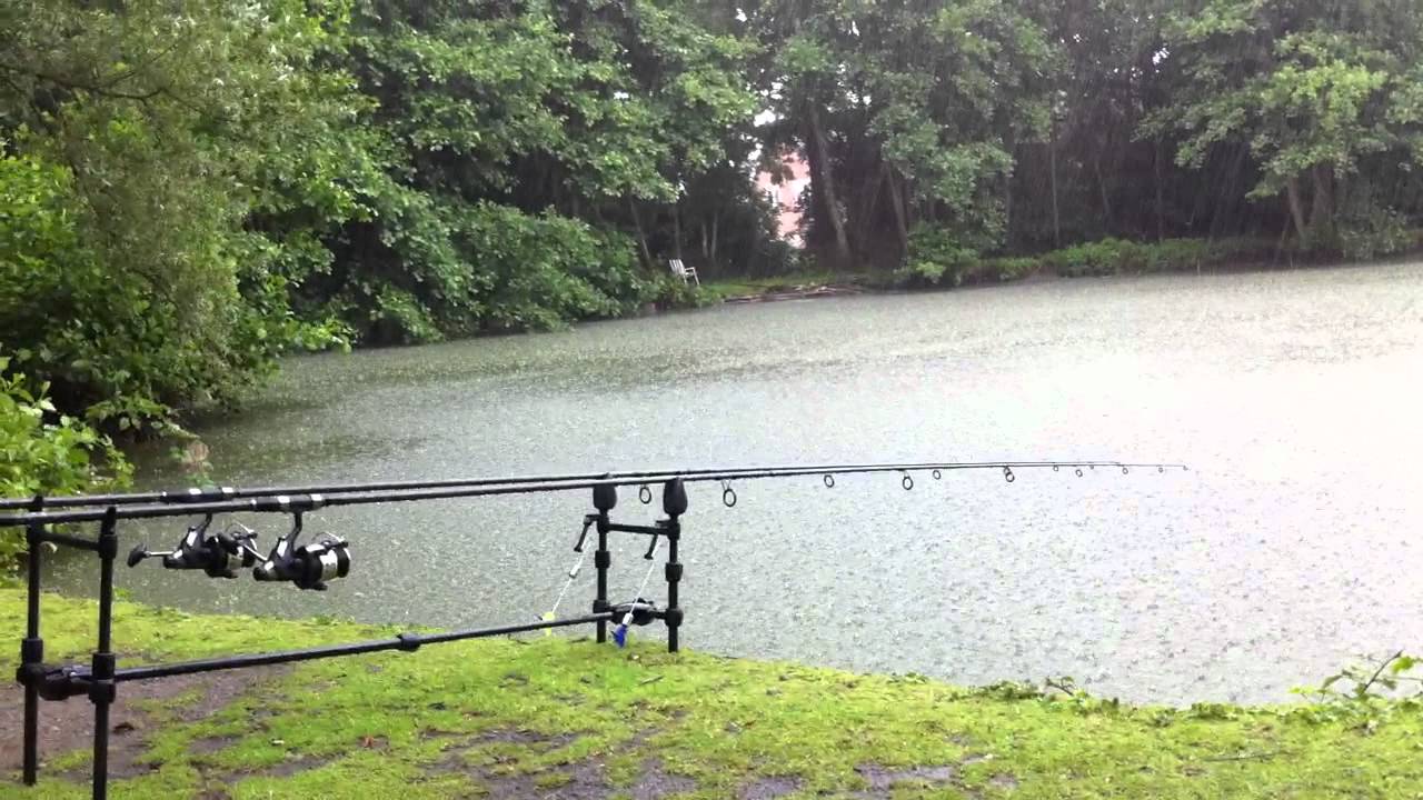 Funny Carp run - YouTube