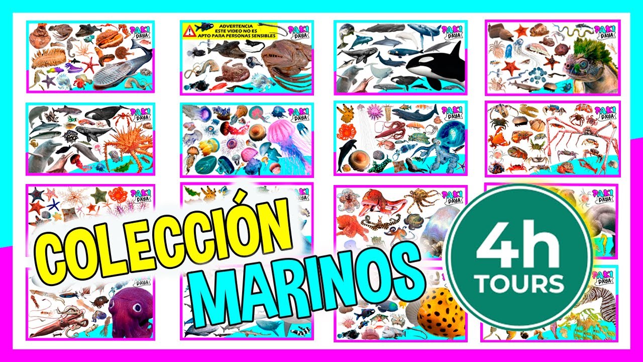 ¡COMPILACIÓN DE ANIMALES MARINOS! 4 HORAS Video educativo🐬 🐙 Learn Sea ...