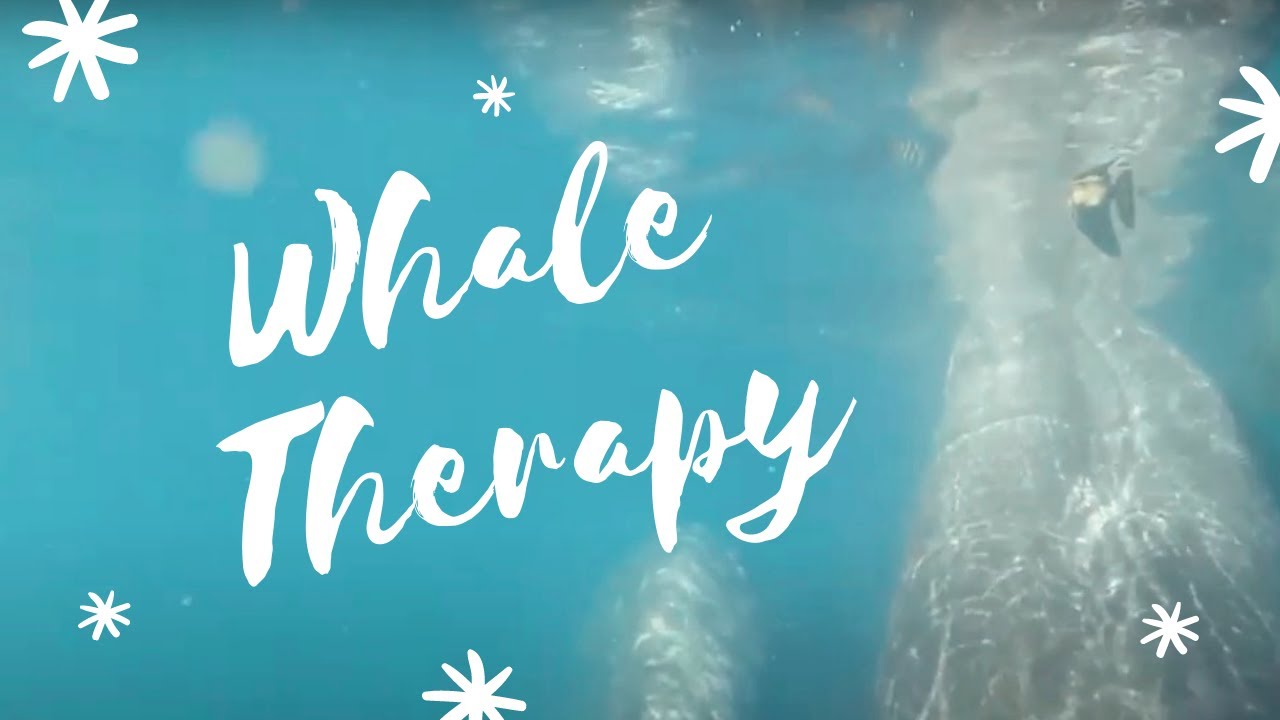 Underwater WHALE Therapy - YouTube