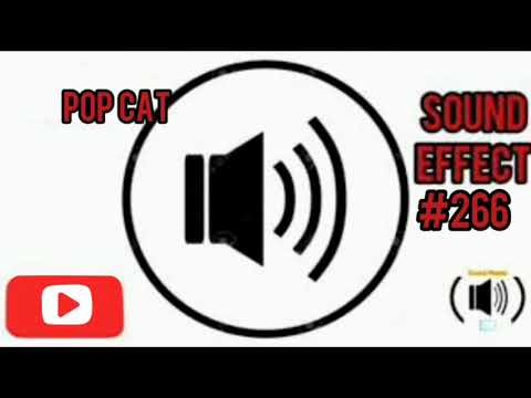 Pop Cat Sound Effect With Download - YouTube