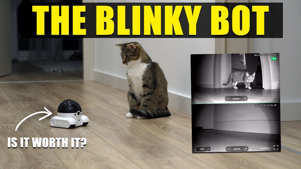 The Blinky Bot Robot Review - Is This AI Camera-Bot Any Good For Pets? Is It Worth It? - YouTube