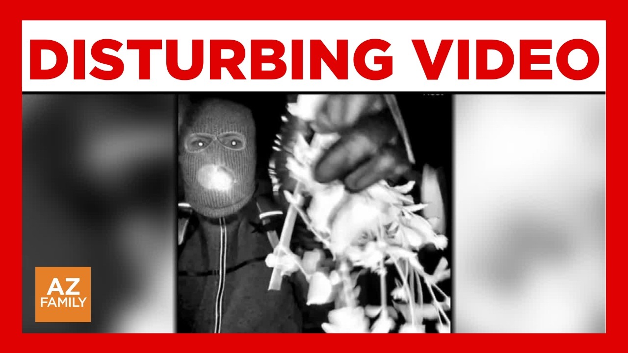 Armed, masked intruder seen on Nancy Guthrie home security footage ...