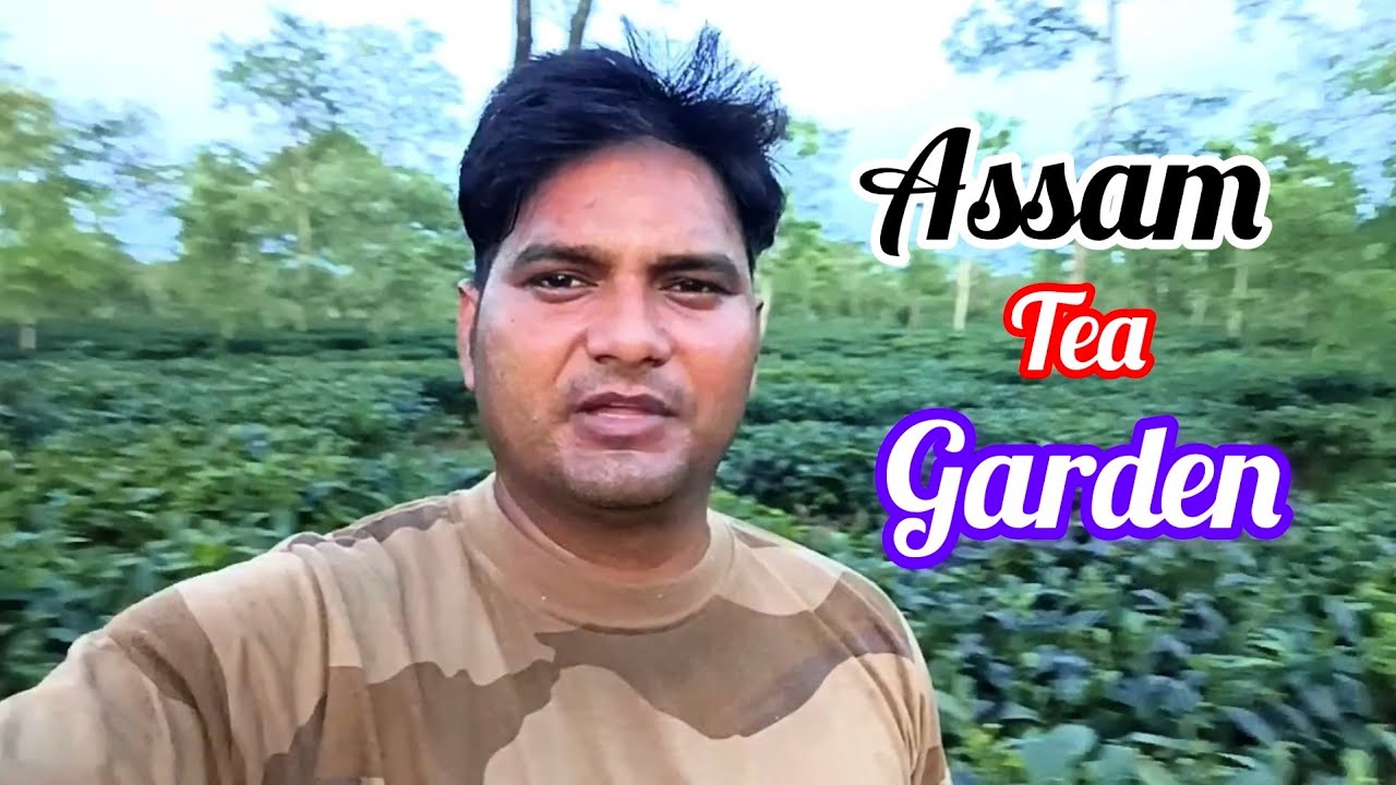 Tea Bagan Ka Shandar Nazara @vnfoujivlogs - YouTube