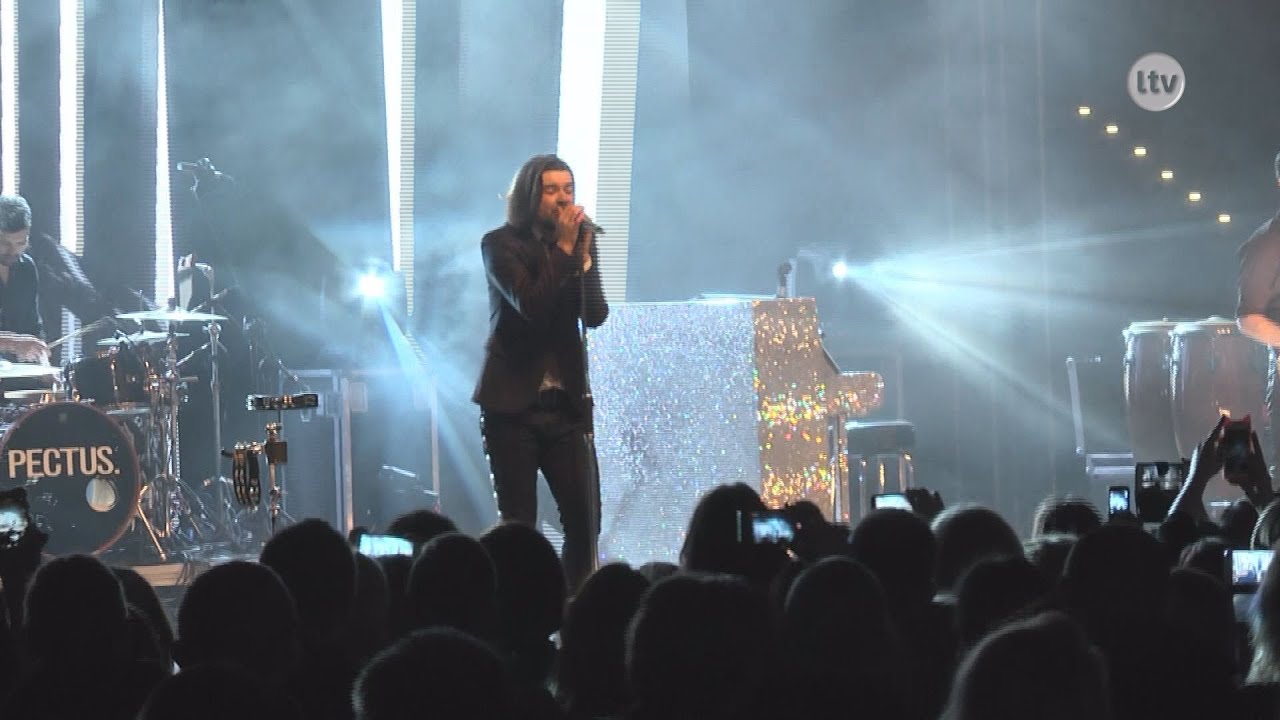 Lokalna.TV: Koncert zespołu Pectus w Ostrowcu Świętokrzyskim z okazji ...