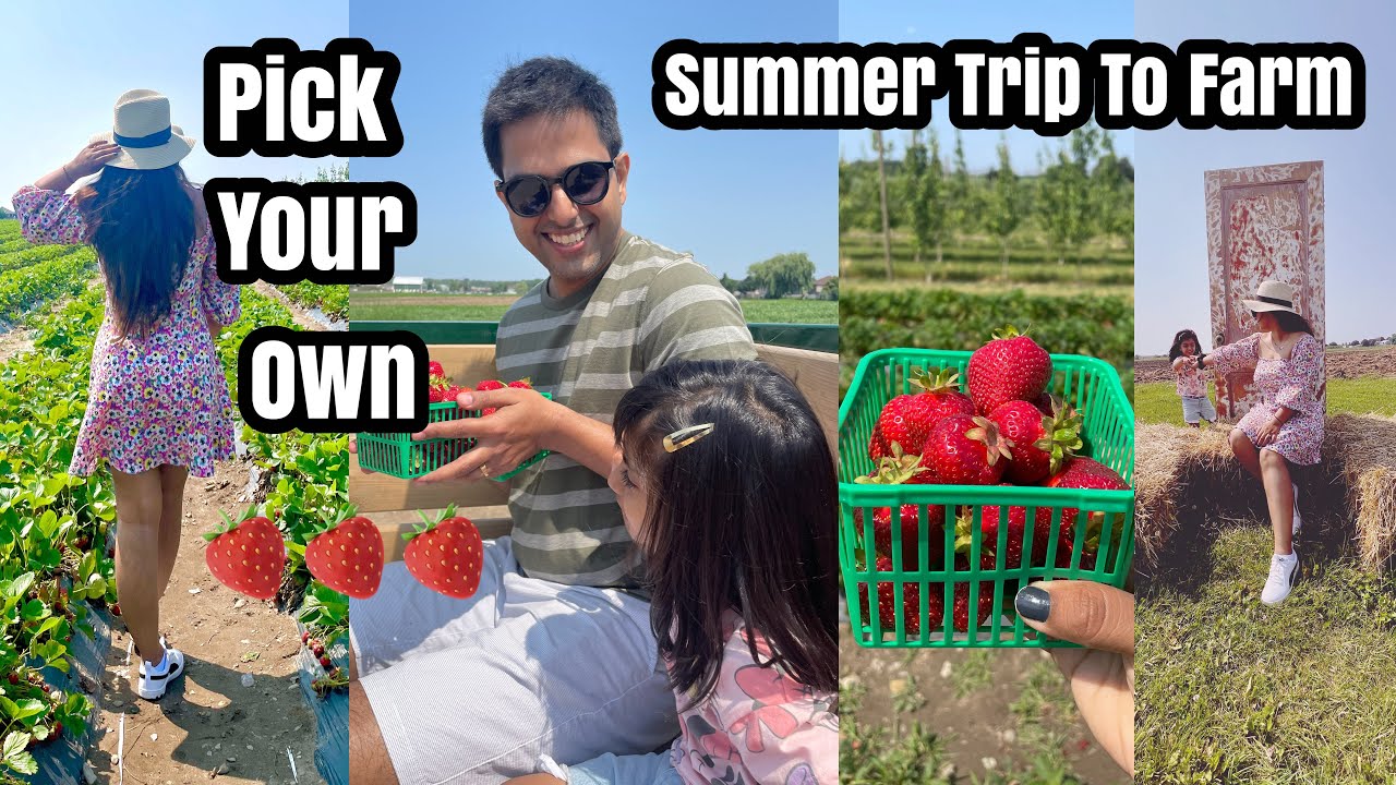 Trip To Strawberry Farm In Canada | Sonya Mehmi Vlogs - YouTube