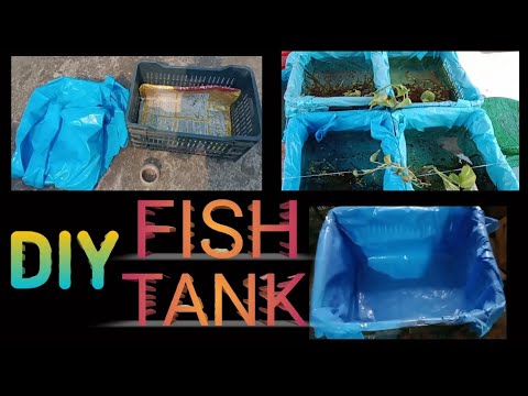 How to make DIY Fish Tank | DIY | Cheapest Fish tank | Aquarium | Fish ...