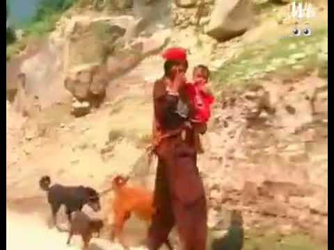 Kia lay ky Aya banda kia lay ky jaye ga (best kashmir look geet ) New ...