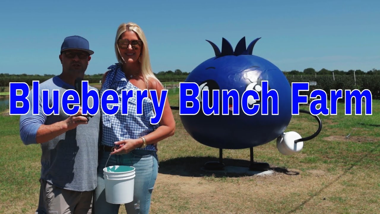 Blueberry Bunch Farm - YouTube