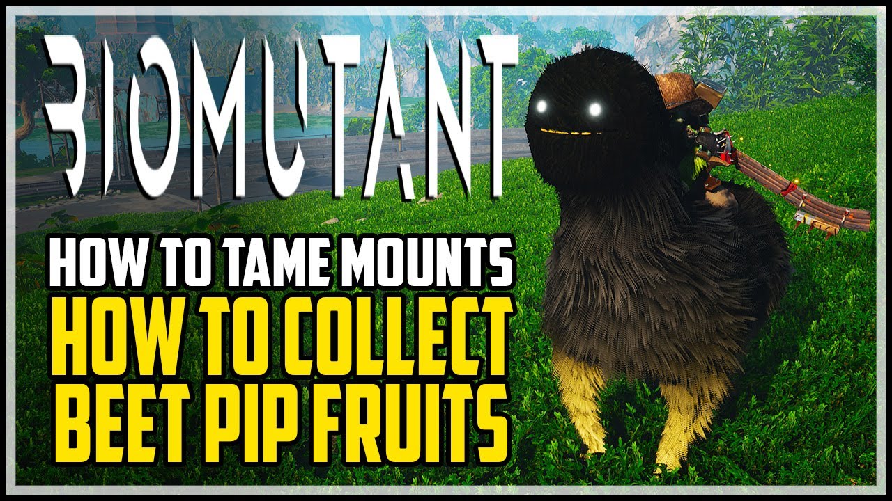 BIOMUTANT How to Get Beet Pip - YouTube