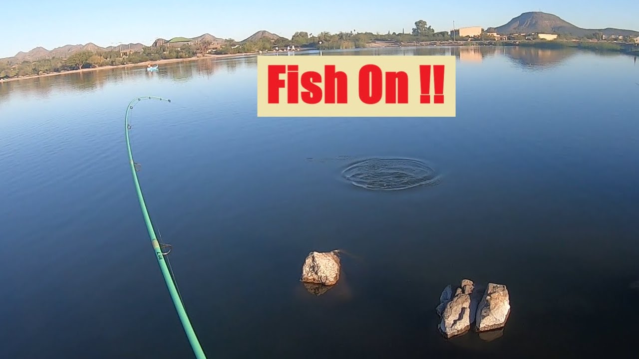 Pond Hopping Urban Ponds Fishing For Bass (Tucson, Arizona) - YouTube
