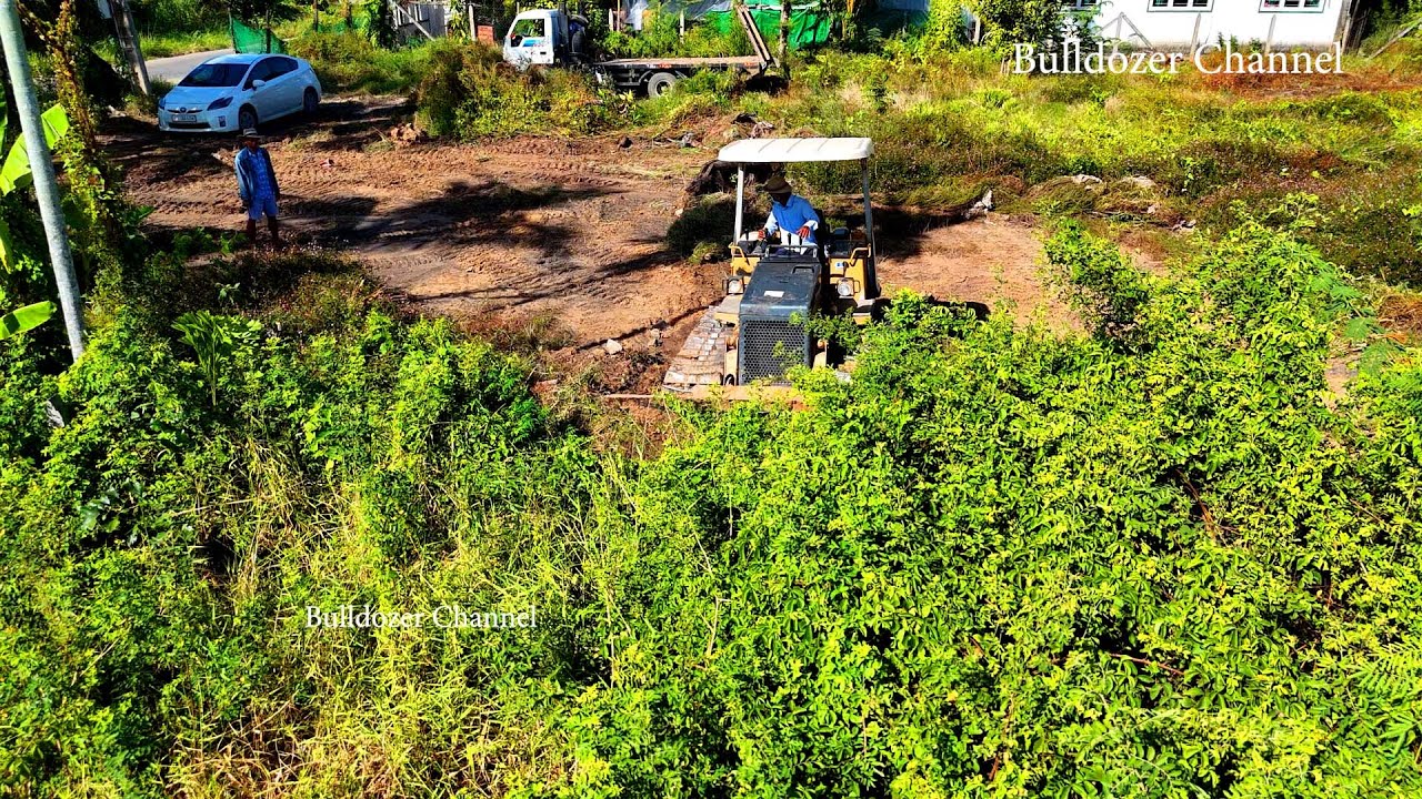 Operator Skill D31P Dozer Clearing & Pushing Forest In Land 50x150m To ...
