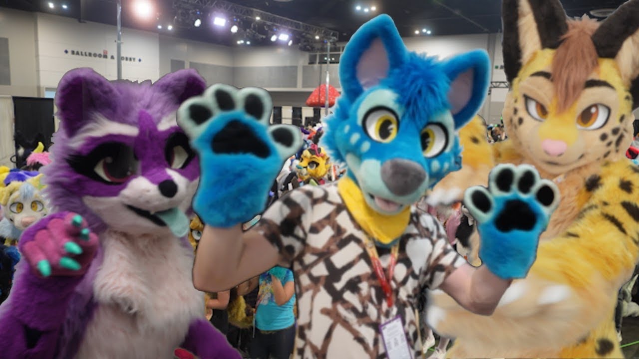 Another Fur Con is NOT just another furry con! | AFC 2024 - YouTube