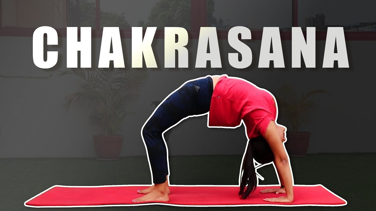 Chakrasana | Yoga Posture | Wheel Pose | Back Bend Pose - YouTube