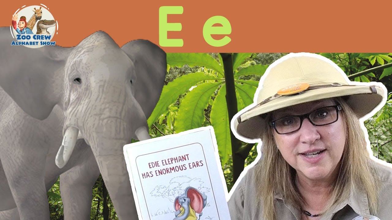Zoo Crew Alphabet Show | Elephants and Letter E - YouTube